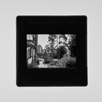 Stars Burning Bright Song Download: Play & Listen Stars Burning Bright ...