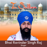 Tu Sultan Song Download: Play & Listen Tu Sultan Punjabi MP3 Song by ...
