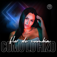 Como Lo Hizo Song Download: Play & Listen Como Lo Hizo Spanish MP3 Song ...