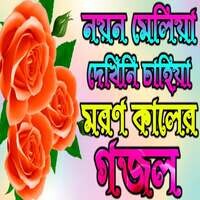 Noyono Meliya Dekhini Cahiya Song Download: Play & Listen Noyono Meliya ...