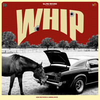 WHIP Song Download: Play & Listen WHIP Punjabi MP3 Song by Jass Rathour ...