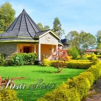 Sosa Sosa Song Download: Play & Listen Sosa Sosa Malay MP3 Song by Levi ...