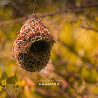 Hammock Song Download: Play & Listen Hammock Instrumental MP3 Song by ...