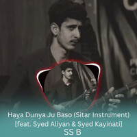 Haya Dunya Ju Baso (Sitar Instrument) Song Download: Play & Listen Haya ...