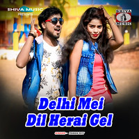 Delhi Mei Dil Herai Gel Song Download: Play & Listen Delhi Mei Dil ...
