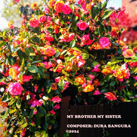 My Brother My Sister Song Download: Play & Listen My Brother My Sister ...