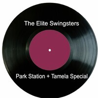 Park Station + Tamela Special Songs Download: Play & Listen Park ...