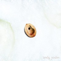 Soul Seed Songs Download: Play & Listen Soul Seed Instrumental MP3 Song by Andy Joslin @Gaana