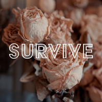 Survive Song Download: Play & Listen Survive all MP3 Song by Business ...