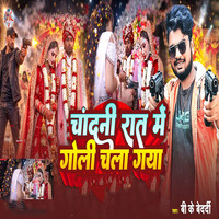 Chandni Raat Mein Goli Chala Gaya Song Download: Play & Listen Chandni ...