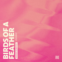 Birds Of A Feather Song Download: Play & Listen Birds Of A Feather all ...