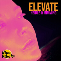 Elevate (Mimmino's Disco Remix) Song Download: Play & Listen Elevate (Mimmino's Disco Remix) all ...