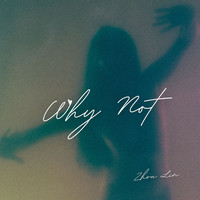 Why Not Song Download: Play & Listen Why Not Instrumental MP3 Song by ...