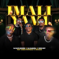 Imali Yami Song Download: Play & Listen Imali Yami Zulu MP3 Song by ...
