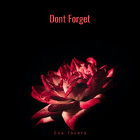 Dont Forget Song Download: Play & Listen Dont Forget Instrumental MP3 ...