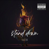 stand down Song Download: Play & Listen stand down all MP3 Song by ...