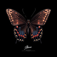 Awara Song Download: Play & Listen Awara all MP3 Song by MohiT Rohilla ...