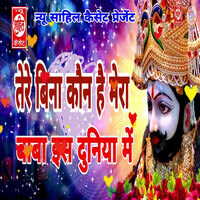 Tere Bina Kaun Hai Mera Baba Is Duniya Mein Song Download: Play ...