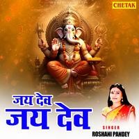 Jai Dev Jai Dev Song Download: Play & Listen Jai Dev Jai Dev all MP3 ...