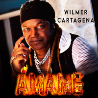 Ámame Song Download: Play & Listen Ámame Spanish MP3 Song by Wilmer ...