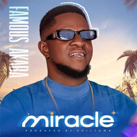 Miracle Song Download: Play & Listen Miracle Afrikaans MP3 Song by ...