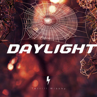 Daylight Song Download: Daylight MP3 Instrumental Song Online Free on ...