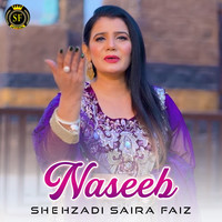 Naseeb Song Download: Play & Listen Naseeb Punjabi MP3 Song by Shehzadi ...