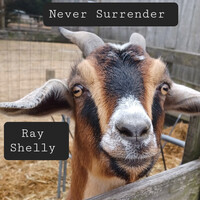Never Surrender Song Download: Play & Listen Never Surrender all MP3 ...