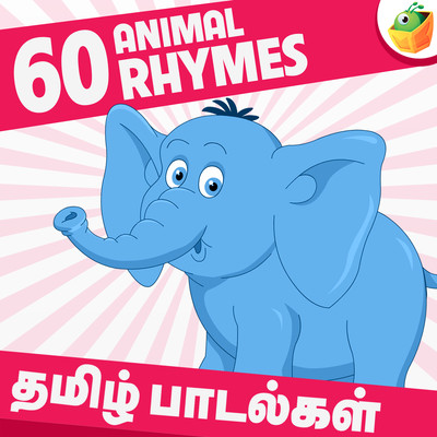 Aandhai (ஆந்தை) Song|Surmughi|Super 60 Animal Rhymes| Listen to new ...