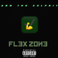Flex Zone Song Download: Play & Listen Flex Zone all MP3 Song by Ann ...