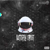Butterfly Effect Song Download: Play & Listen Butterfly Effect all MP3 Song by ATVMXXI @Gaana