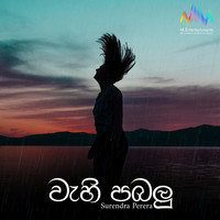Wahi Pabalu Song Download: Play & Listen Wahi Pabalu Sinhala MP3 Song ...
