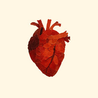 Voici mon coeur Songs Download: Play & Listen Voici mon coeur French ...