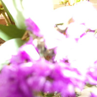 Simple Reasons Song Download: Play & Listen Simple Reasons all MP3 Song ...