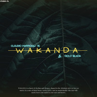 Wakanda Song Download: Play & Listen Wakanda Portuguese MP3 Song by ...