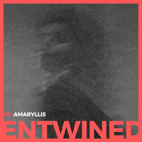 Entwined Song Download: Play & Listen Entwined all MP3 Song by Ms ...