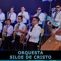Orquesta Siloe De Cristo (En Vivo) Song Download: Play & Listen ...