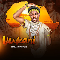 Vukani Song Download: Play & Listen Vukani Zulu MP3 Song by Lilitha ...