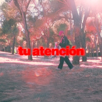 tu atención Song Download: Play & Listen tu atención Spanish MP3 Song ...