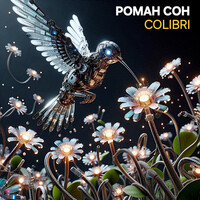Colibri Song Download: Play & Listen Colibri all MP3 Song by Роман Сон ...