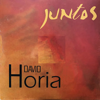 Juntos Songs Download: Play & Listen Juntos French MP3 Song by David ...