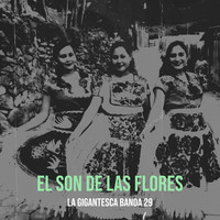 El Son De Las Flores Song Download: Play & Listen El Son De Las Flores ...