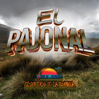 El Pajonal Song Download: Play & Listen El Pajonal Spanish MP3 Song by ...