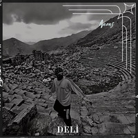 Deli Song Download: Play & Listen Deli Turkish MP3 Song by Anons @Gaana