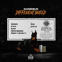 Different Breed Song Download: Play & Listen Different Breed all MP3 ...