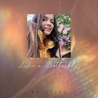 Like a butterfly Song Download: Play & Listen Like a butterfly all MP3 ...