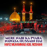 Mere Nabi Ka Pyara Nawasa Hussain Hai Song Download: Play & Listen Mere ...