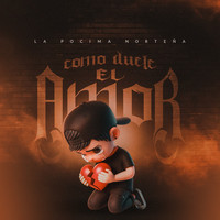 Como Duele El Amor Song Download: Play & Listen Como Duele El Amor ...