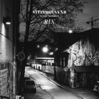 Rin Song Download: Play & Listen Rin all MP3 Song by by Steinmøysa NB ...