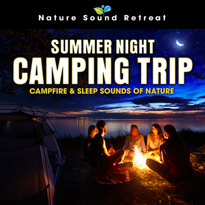 Crackling Campfire Sounds, Crickets, Gentle Lake Waves Water Sound and ...